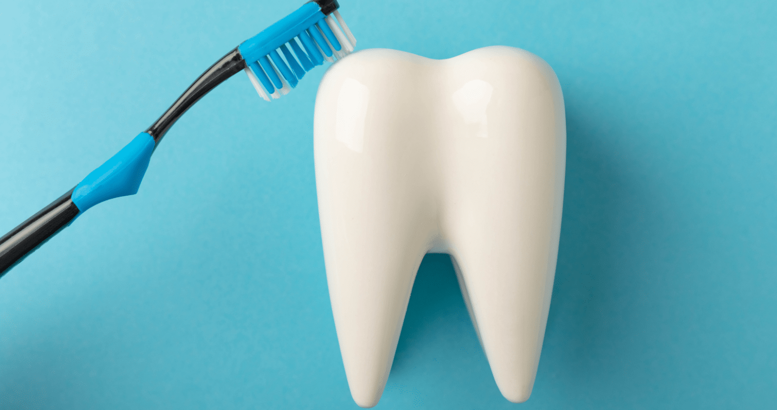 How To Remove Plaque From False Teeth | Dental Faith